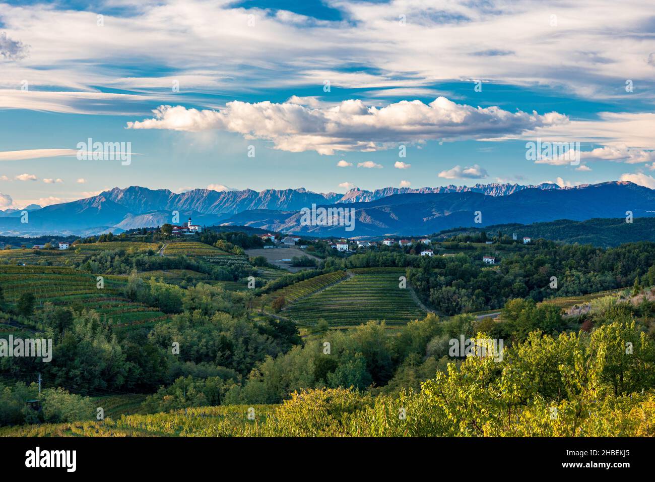 The sun goes down over the vineyards of Collio, Friuli Venezia Giulia ...