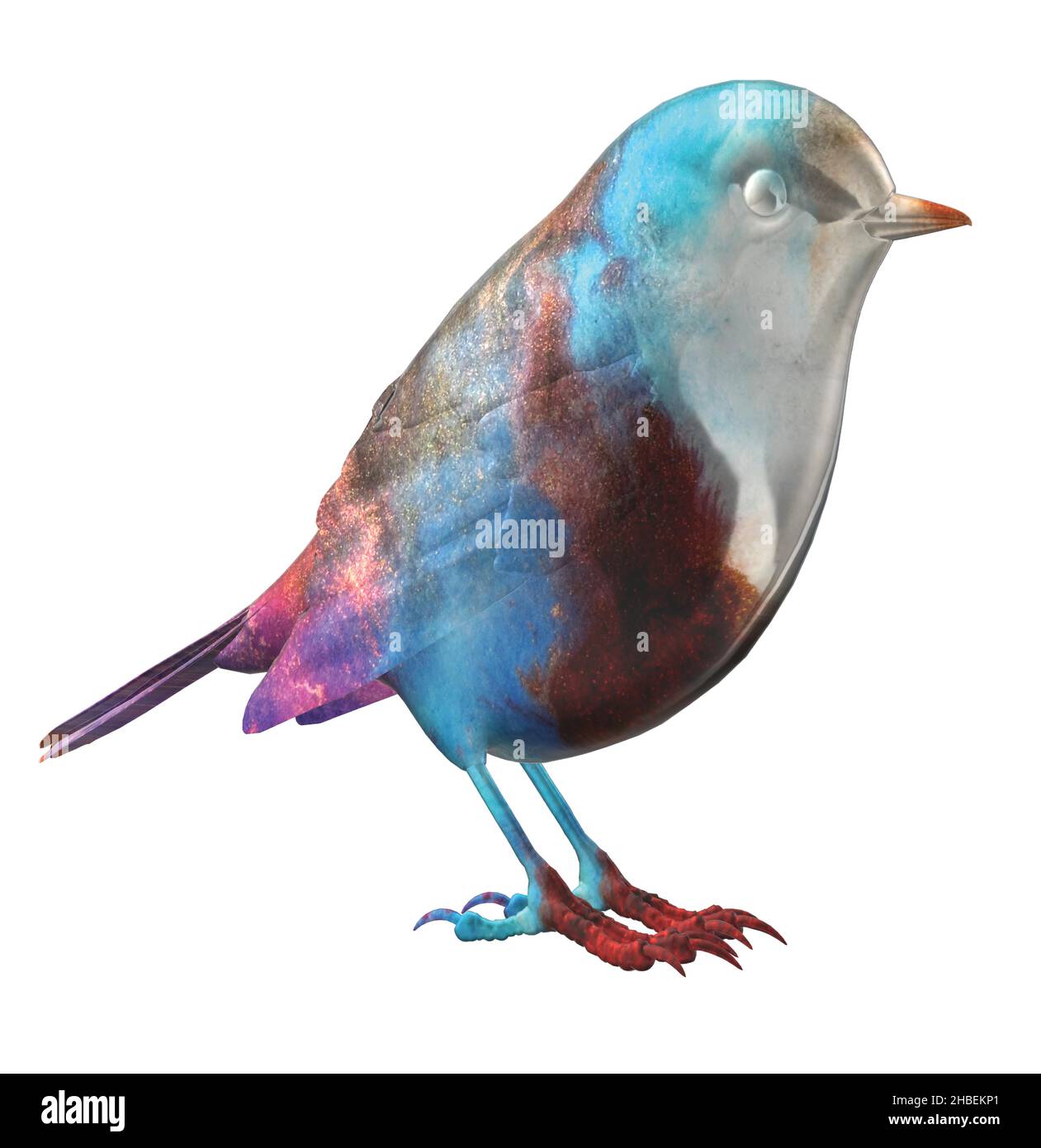 Vibrant bird species Stock Vector Images - Alamy