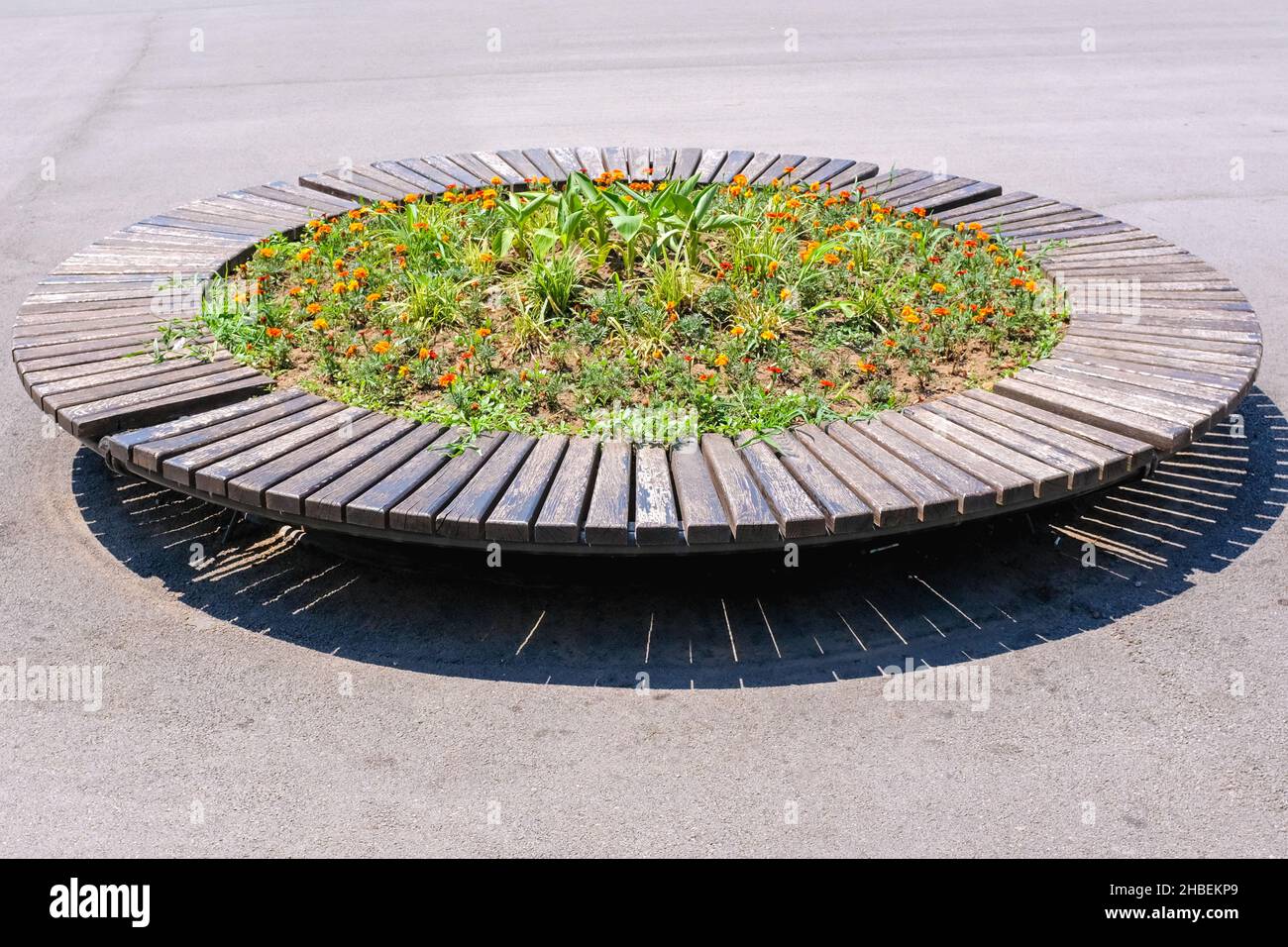 Round wooden bench in park at hot summer day Stock Photo - Alamy