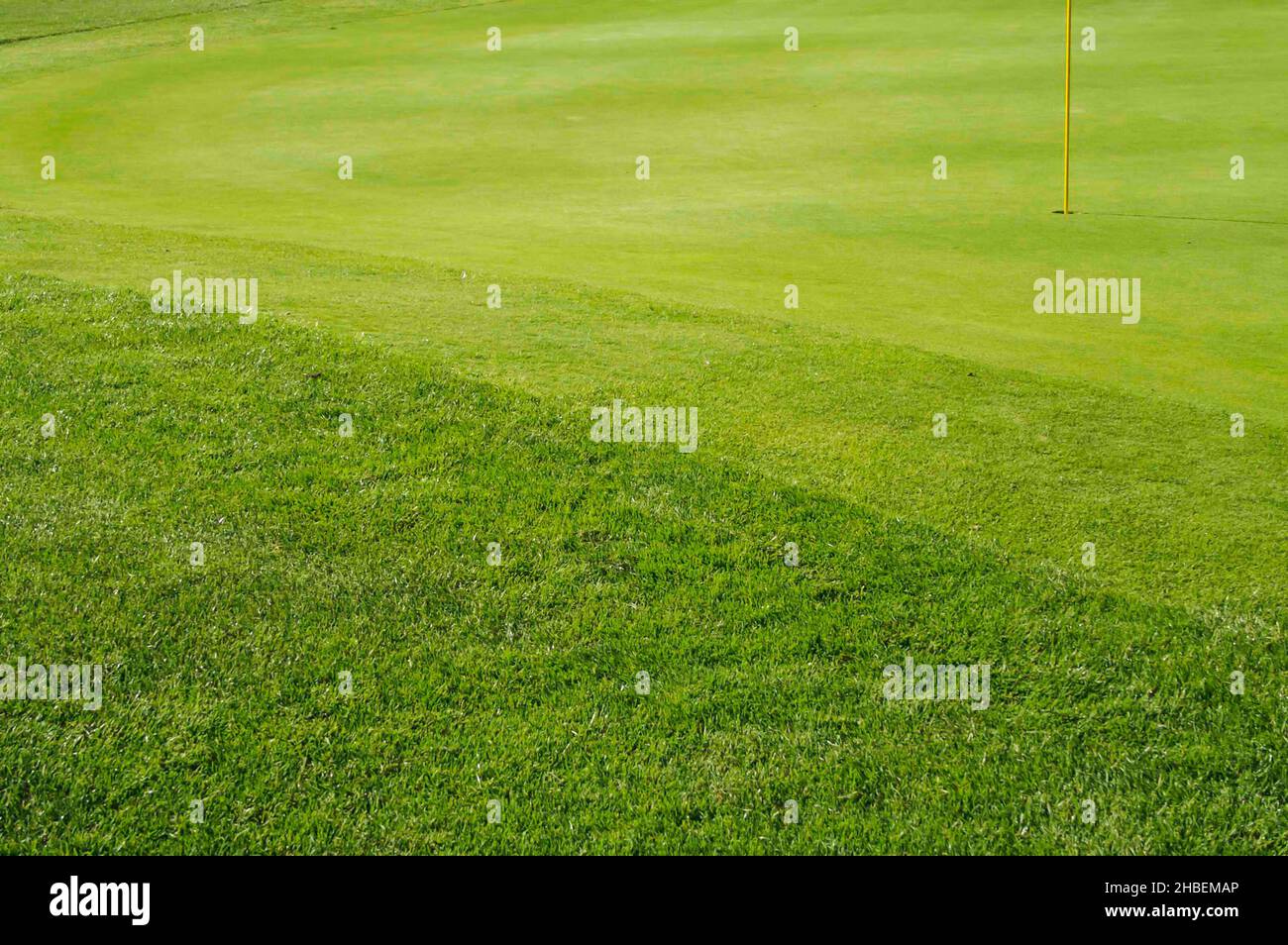 Scenic Grassy Golf Course Green and Fringe Stock Photo - Alamy