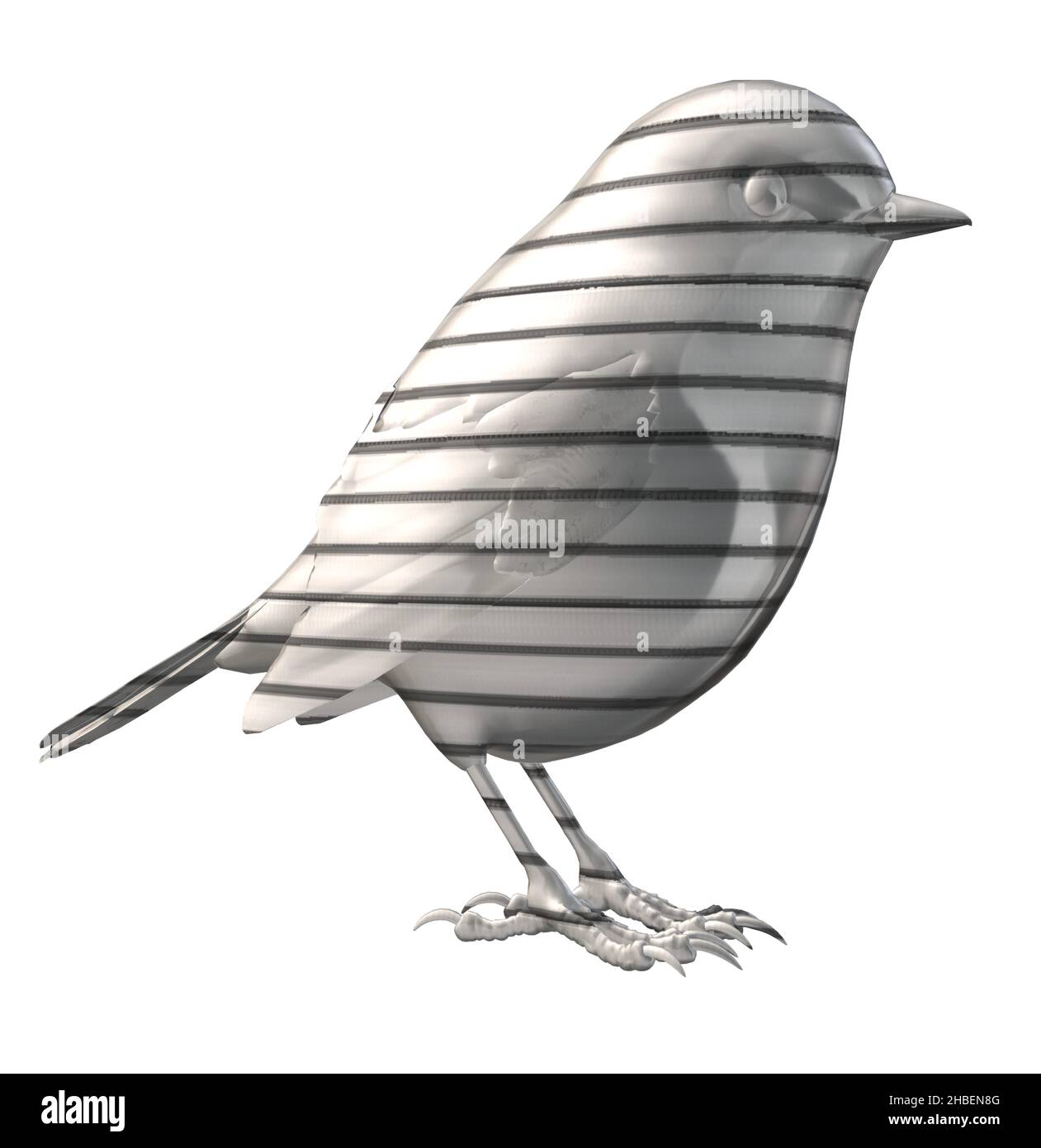 Black Bird With White Strips High Resolution Stock Photography and ...