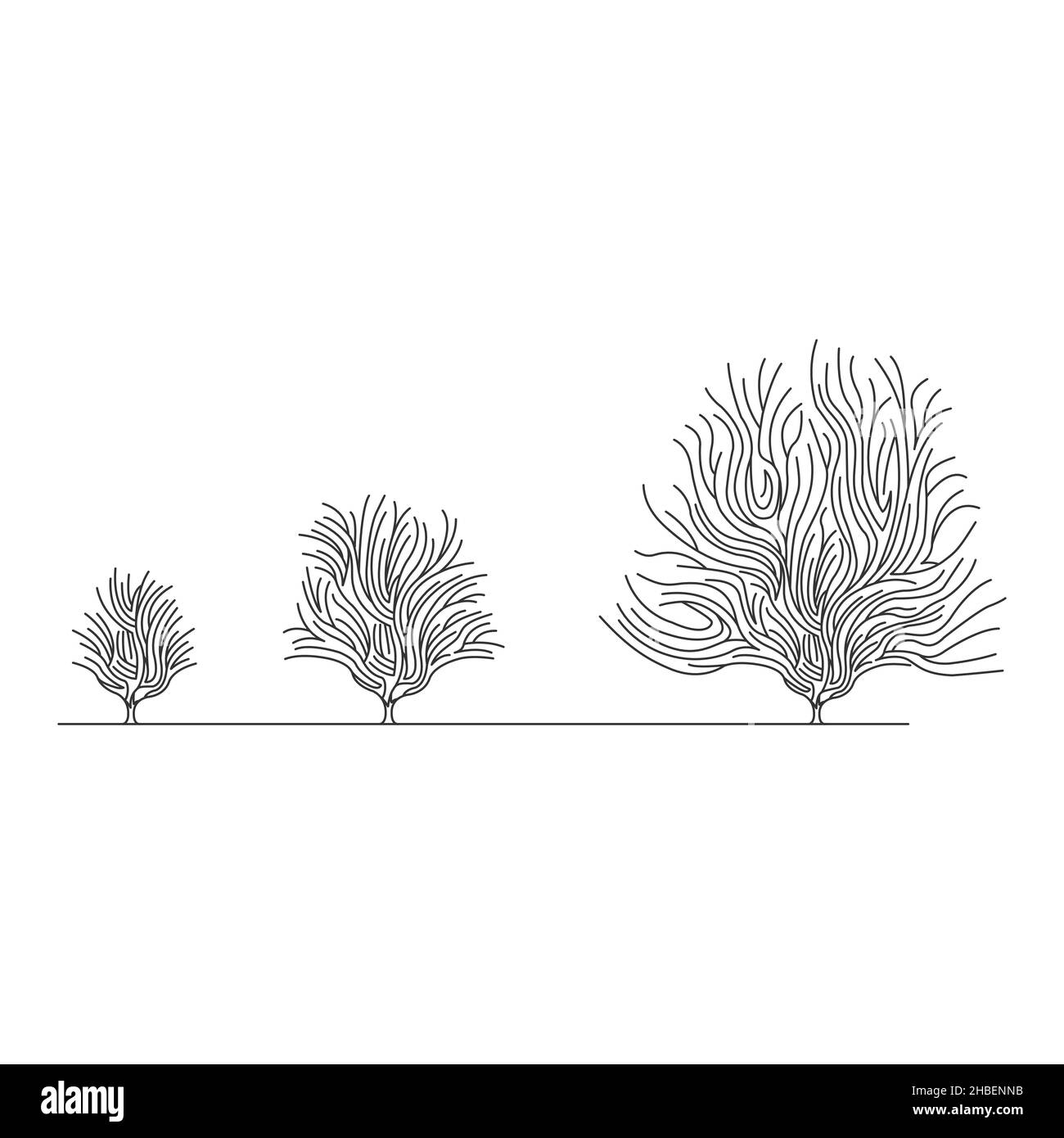 Natural trees growing in Stock Vector Images - Alamy