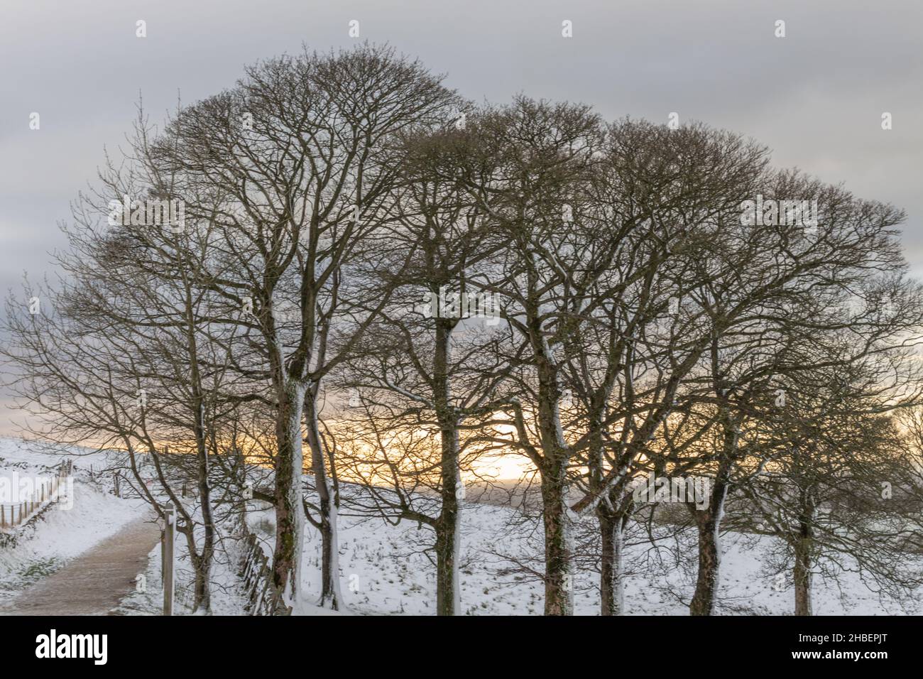 Teggs nose country park macclesfield hi-res stock photography and ...
