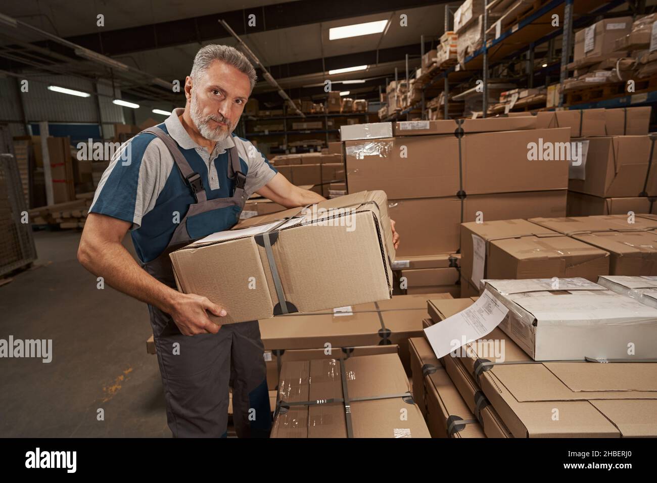 Busy senior loader carrying box with product Stock Photo - Alamy