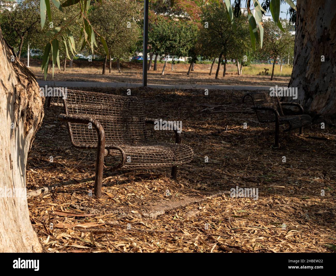 Old and rusty iron park bench under the trees close-up Stock Photo - Alamy