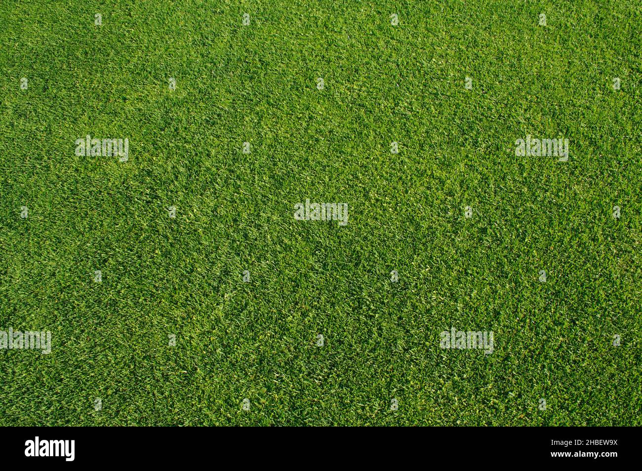 Close Cut Green Grass Background Stock Photo - Alamy