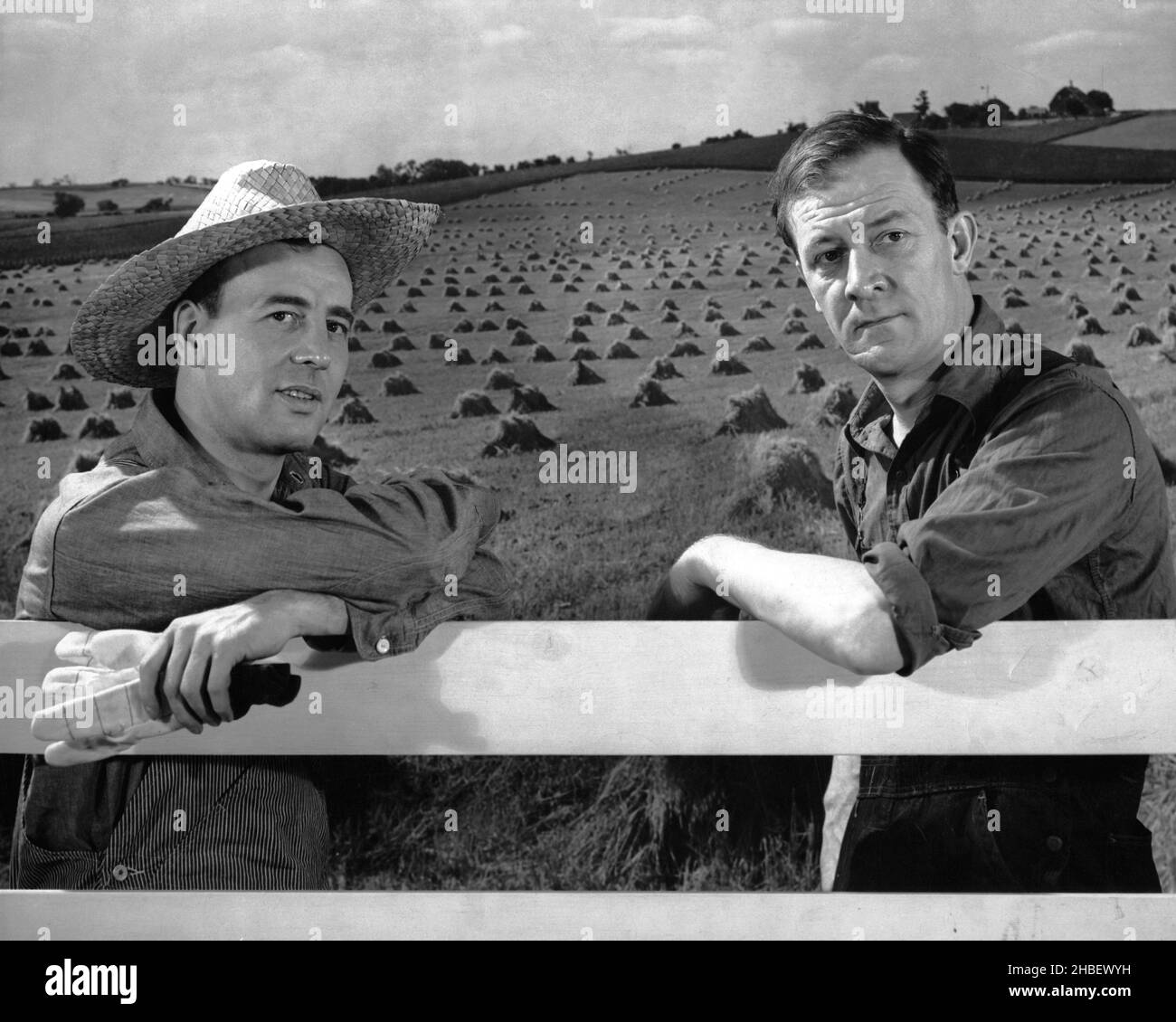 Two farmer men in their 30's take a moment to look out over their crops ...