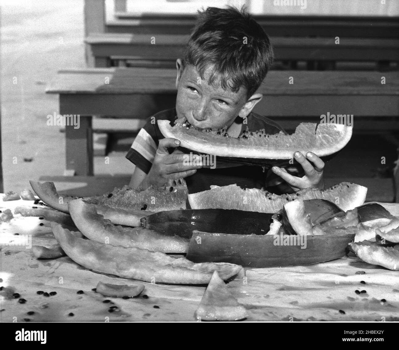 Young boy chowing down on watermelon with several already eaten pieces ...