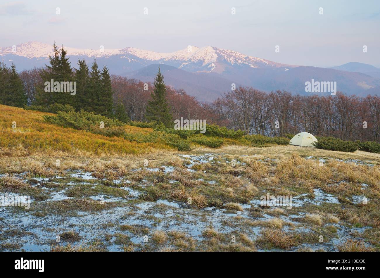 Spring landscape with tourist tent. Creek from melting snow in the ...