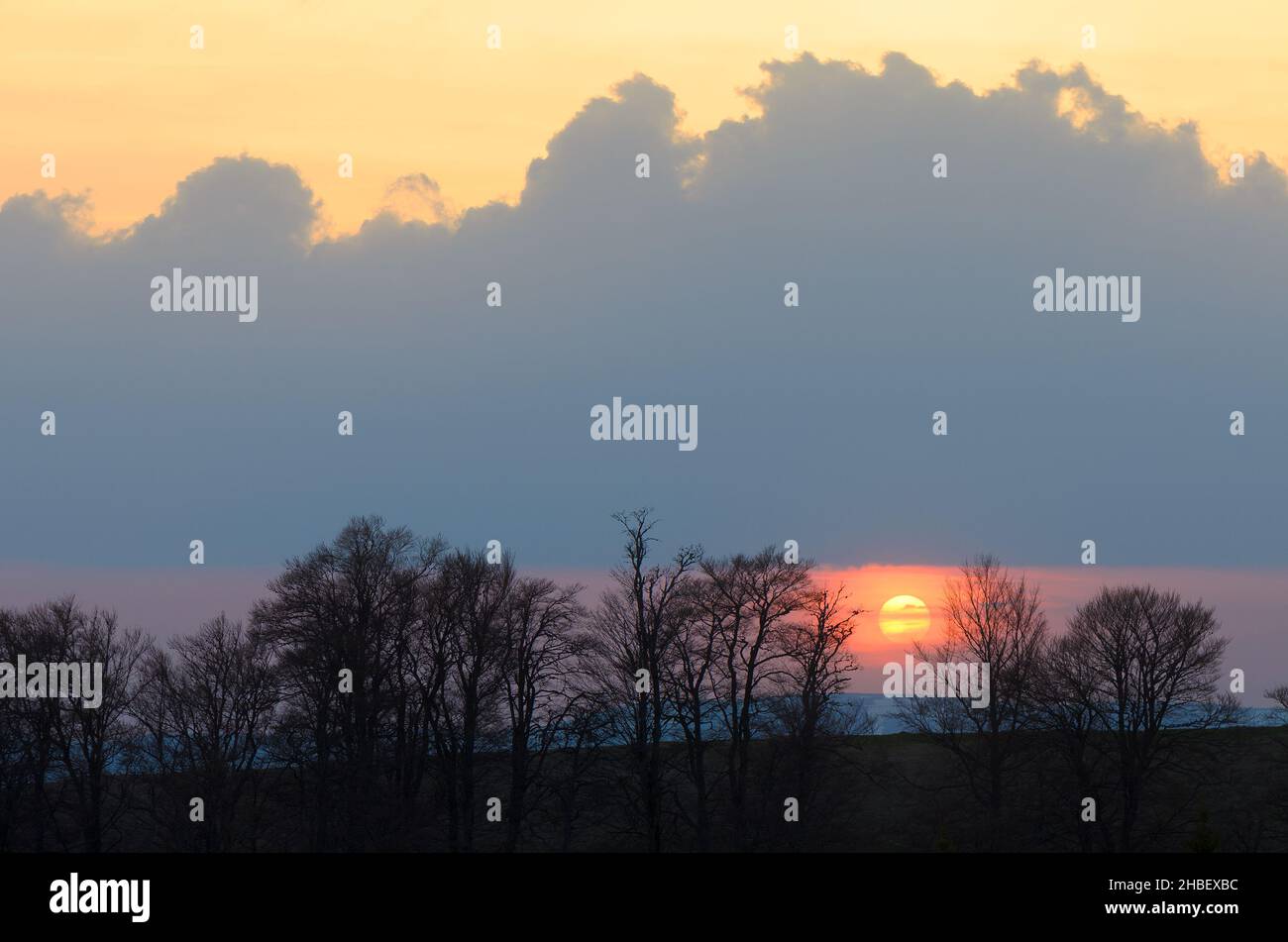 Setting sun behind trees in the forest hi-res stock photography and ...