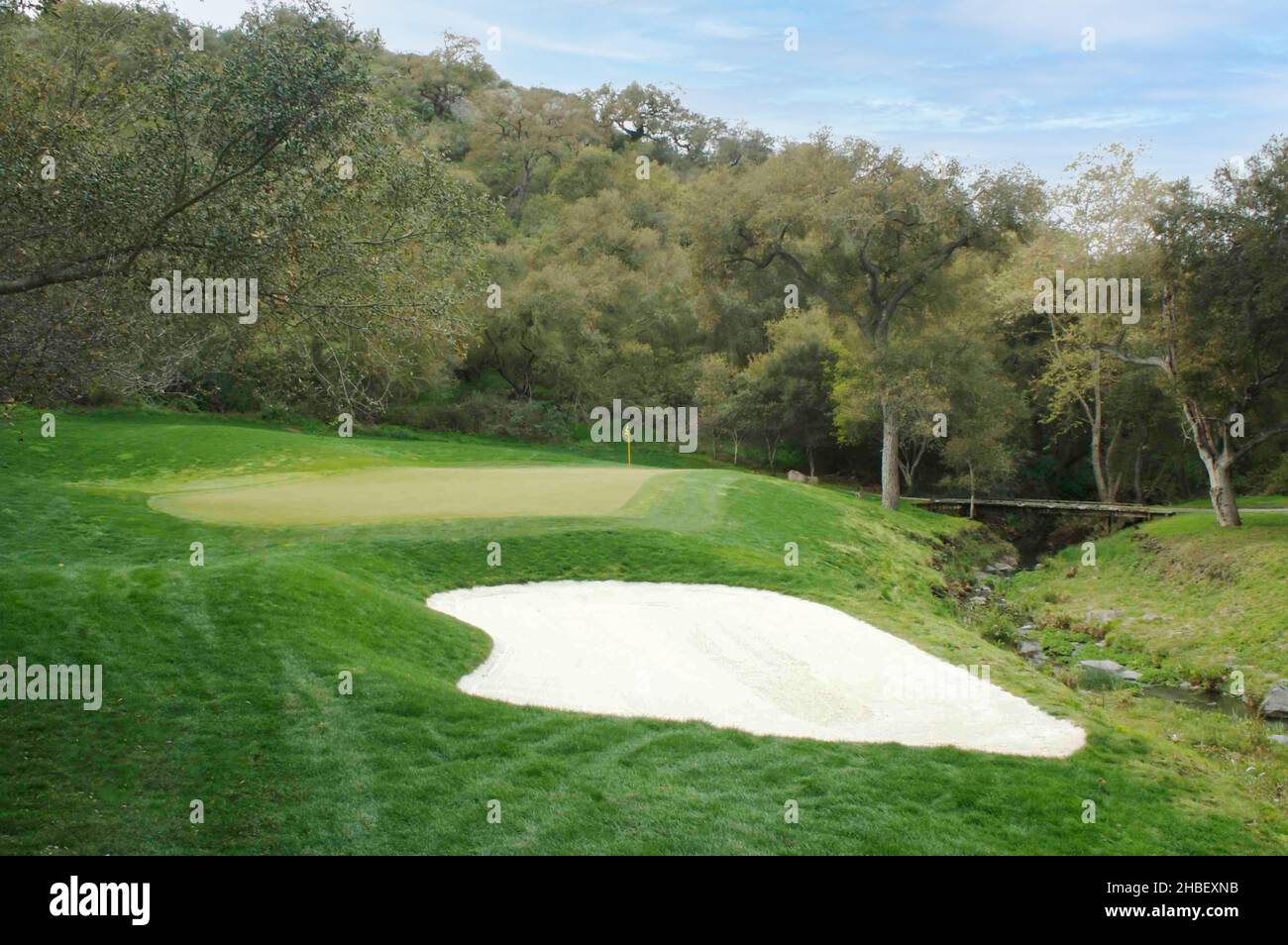 Scenic Grassy Golf Course Green and Flag Stock Photo - Alamy