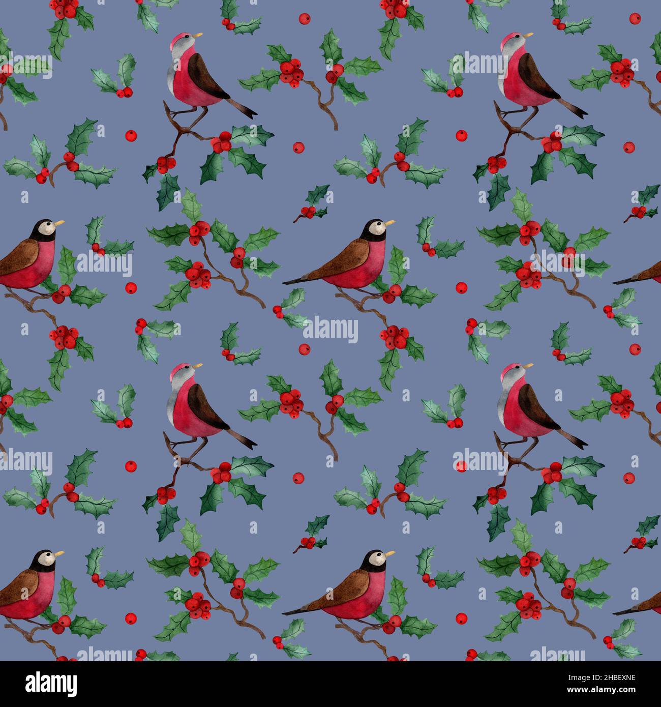 Watercolor holly hi-res stock photography and images - Alamy