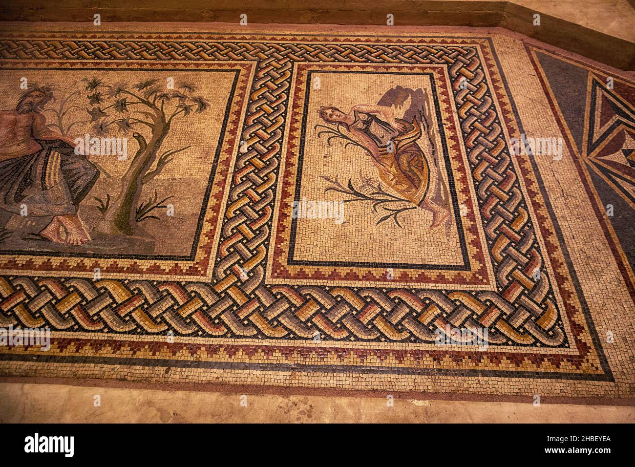 Zeugma Mosaic Museum, one of the largest mosaic collection in the world ...