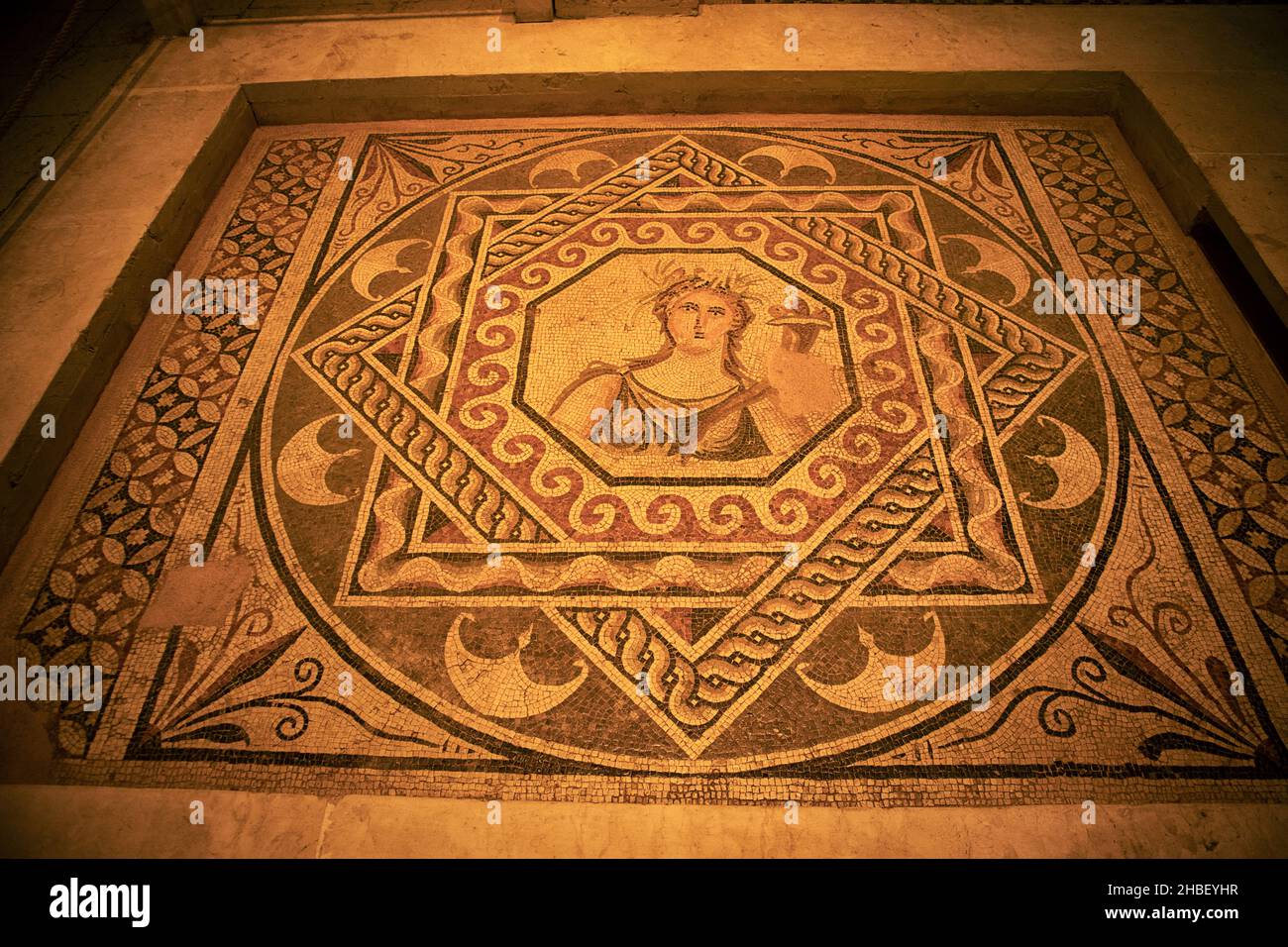 Zeugma Mosaic Museum, one of the largest mosaic collection in the world ...