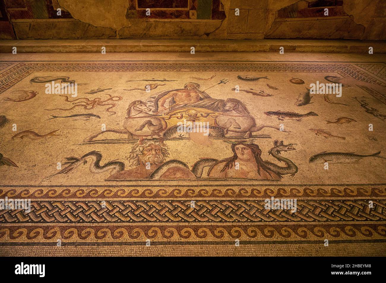 Zeugma Mosaic Museum, one of the largest mosaic collection in the world ...