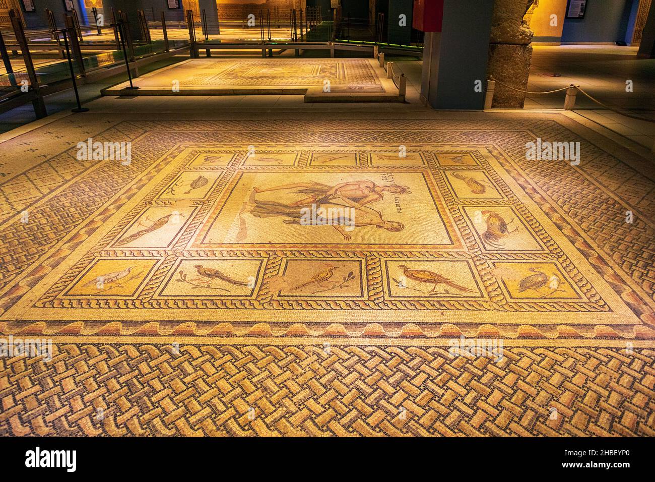 Zeugma mosaic museum hi-res stock photography and images - Alamy