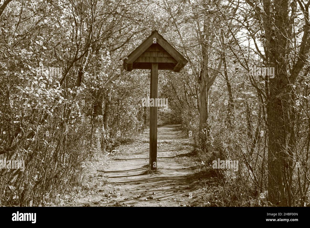 Isolated wooden post with roof in autumn woods - autumnal wallpaper or ...