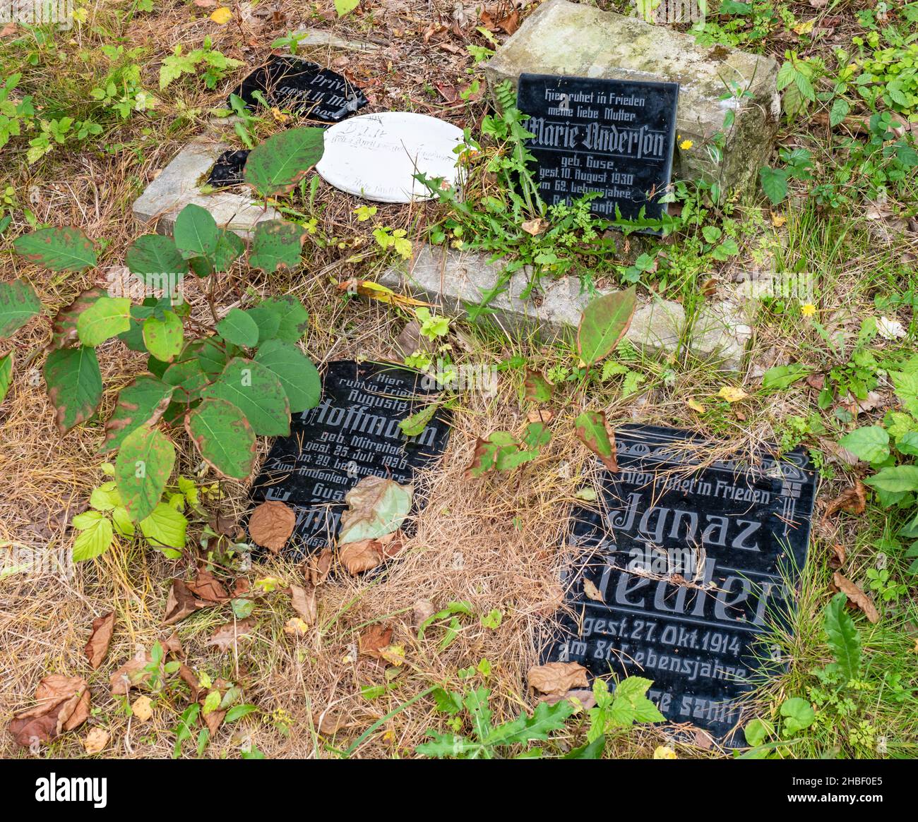 Broken inscriptions of black glass tombstones. A forgotten and ...