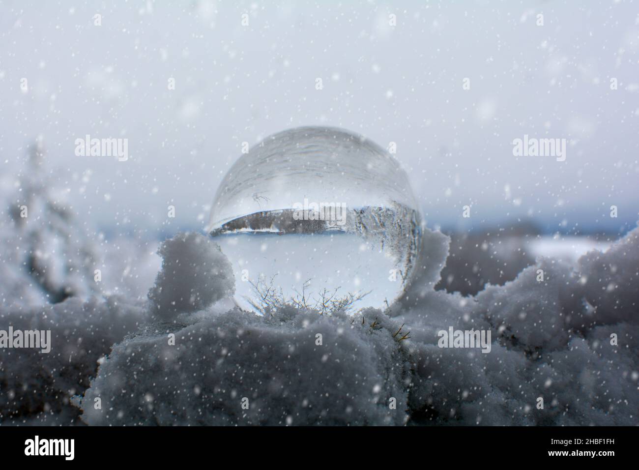 Glass ball lies in the deep snow on a cold winter day in nature, with ...
