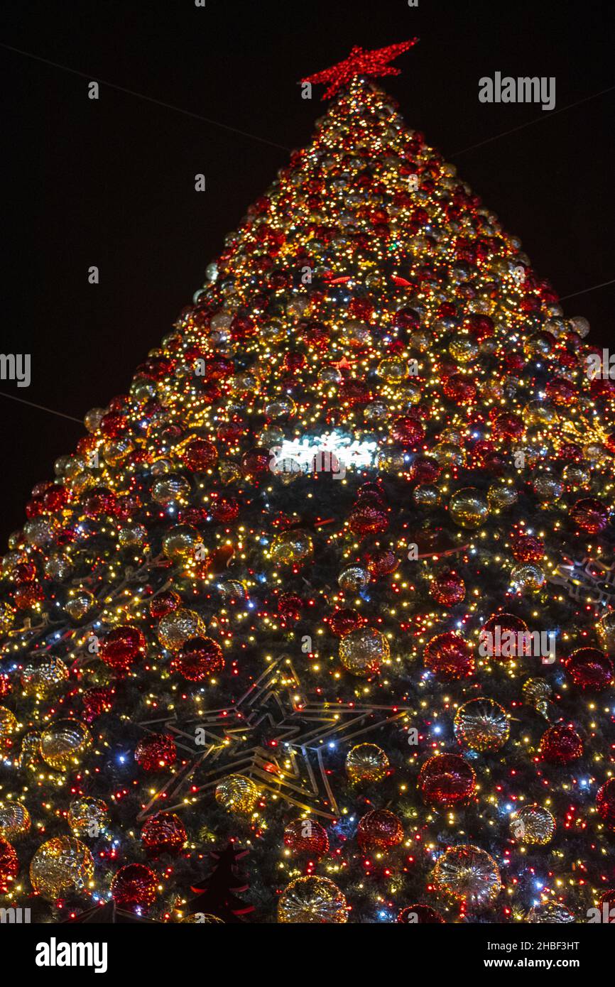 light decorations and christmas trees during new year celebration in ...