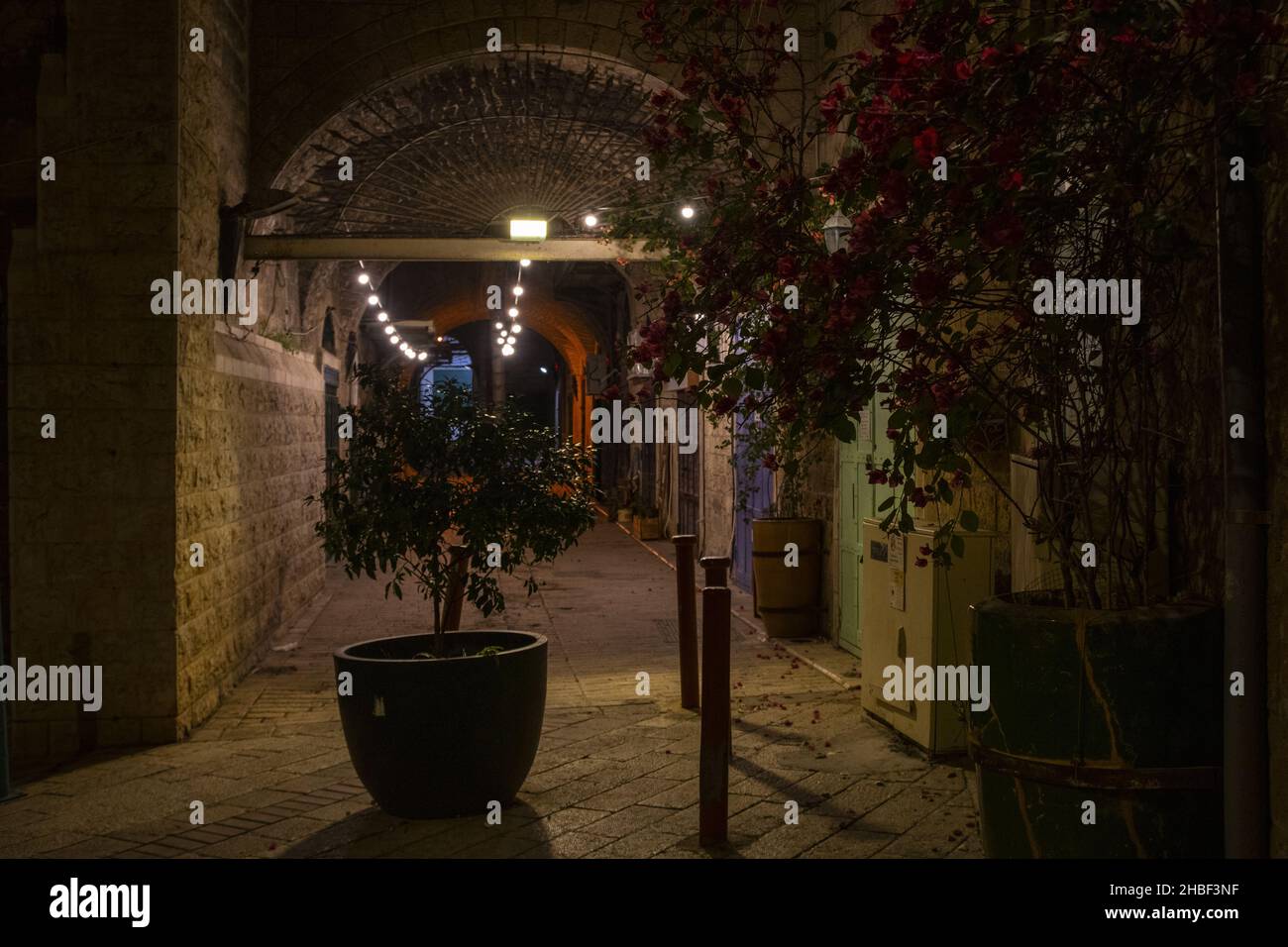 light decorations and christmas trees during new year celebration in ...