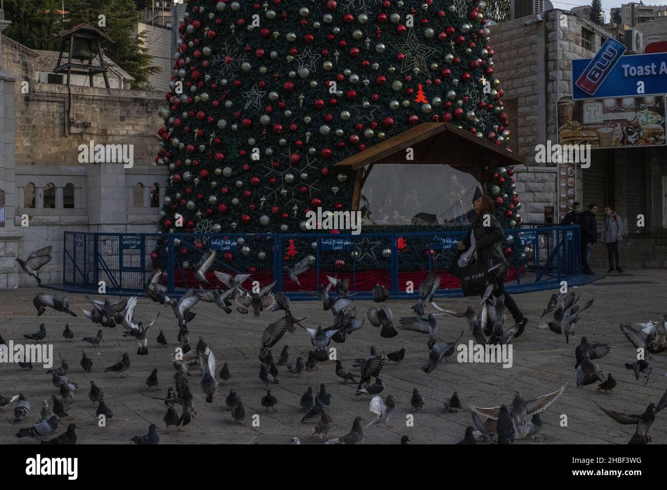 light decorations and christmas trees during new year celebration in ...