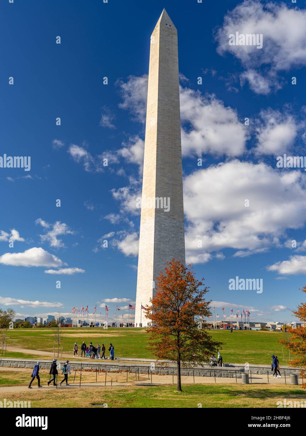 Washington monument with tree and clouds hi-res stock photography and ...