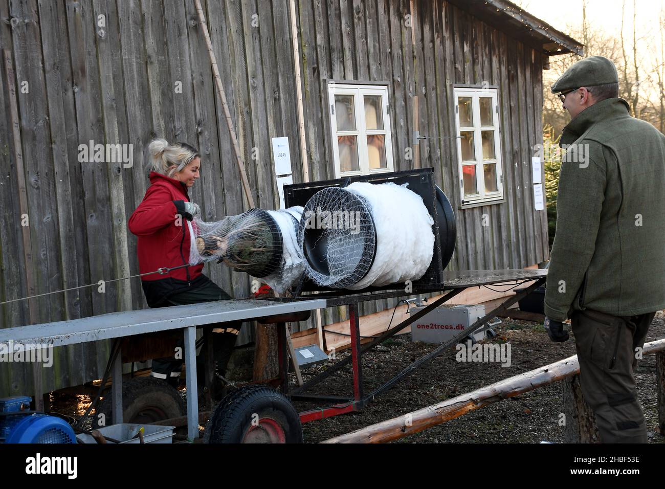 Jule traeer hi-res stock photography and images - Alamy