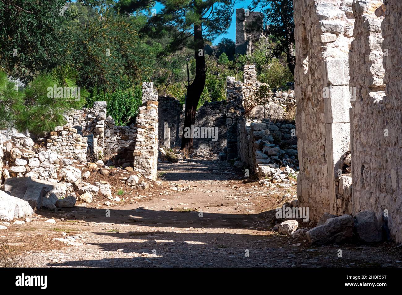ruins of antique street on the background of mountains in the ancient ...