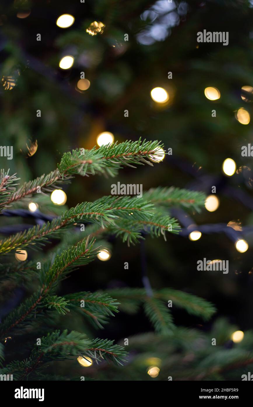 Christmas tree with blurry lights hi-res stock photography and images ...