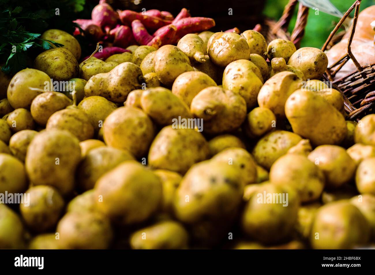 Farmer's Market Potatoes Stock Photo - Alamy