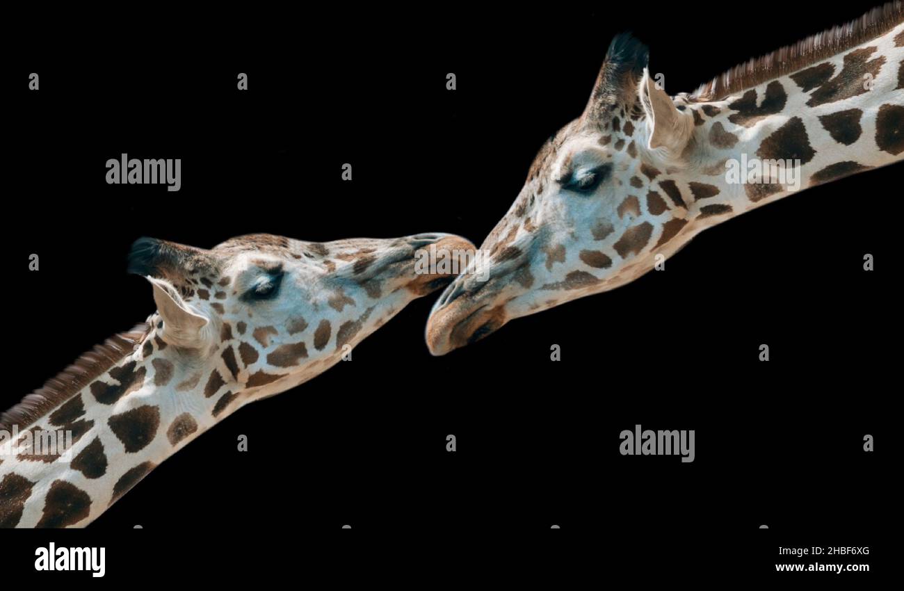 Beautiful love pattern hi-res stock photography and images - Alamy