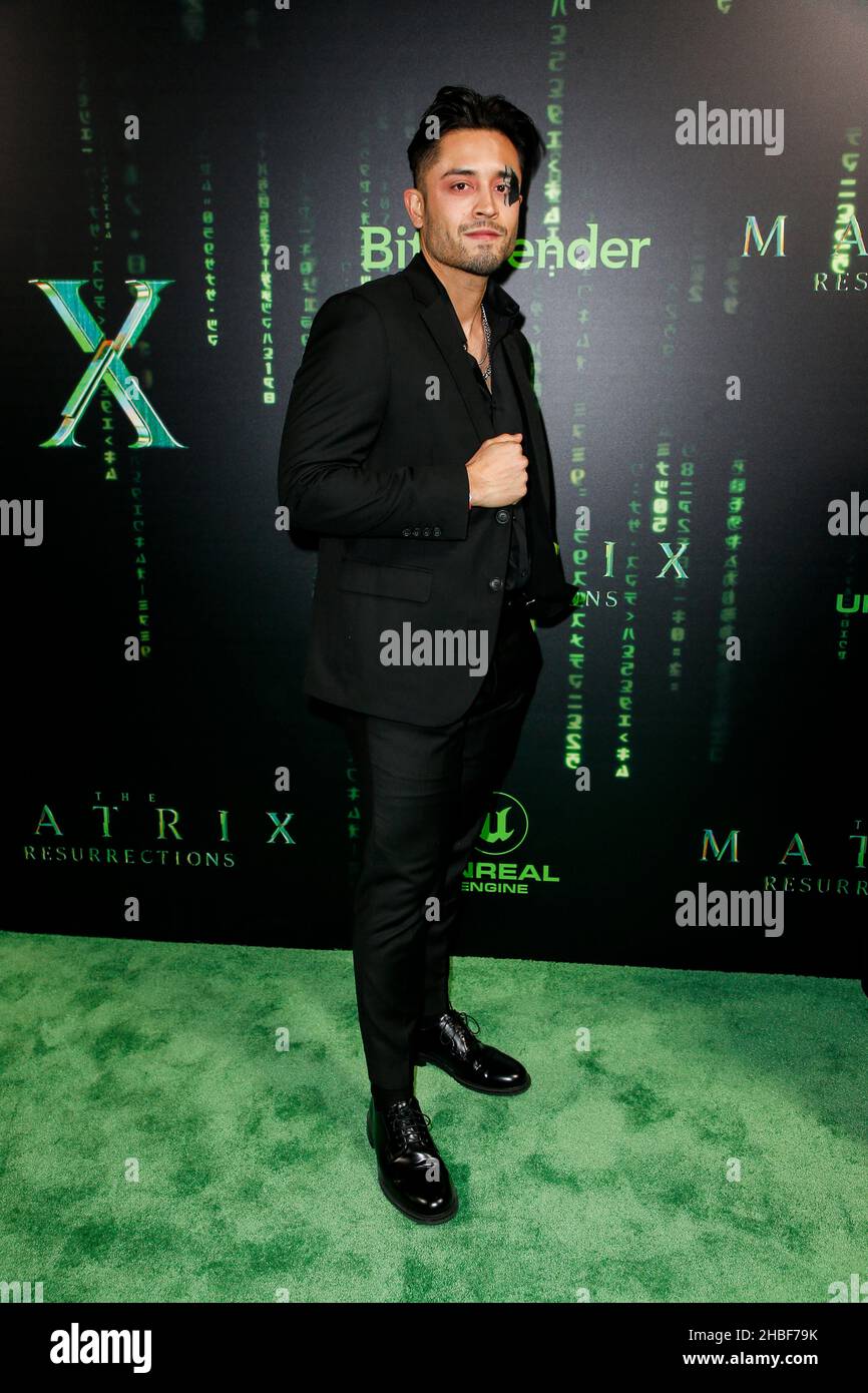 Carrie ann moss 2021 hi-res stock photography and images - Alamy