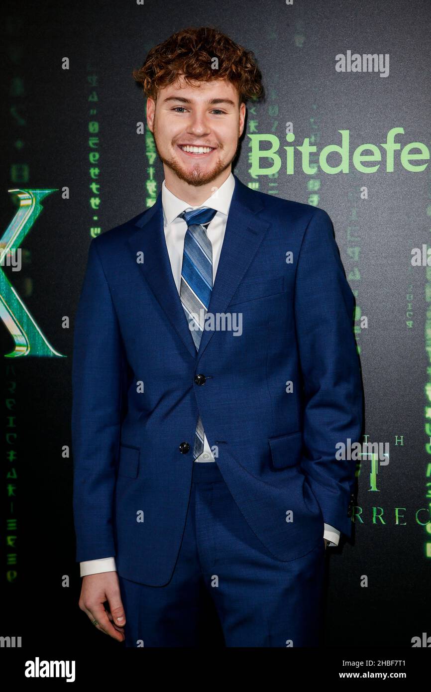 Carrie ann moss 2021 hi-res stock photography and images - Alamy