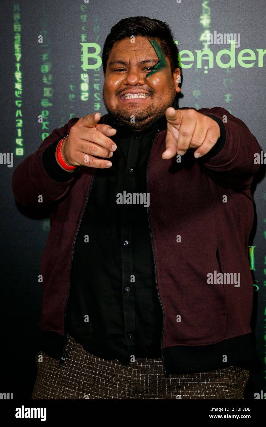 Carrie ann moss matrix hi-res stock photography and images - Alamy