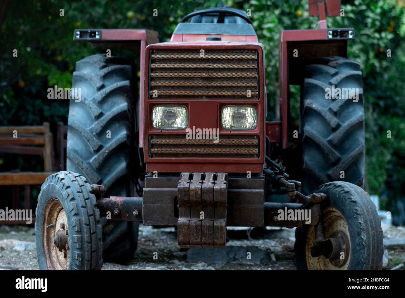 small wheeled agricultural tractor, front view, close-up Stock Photo ...