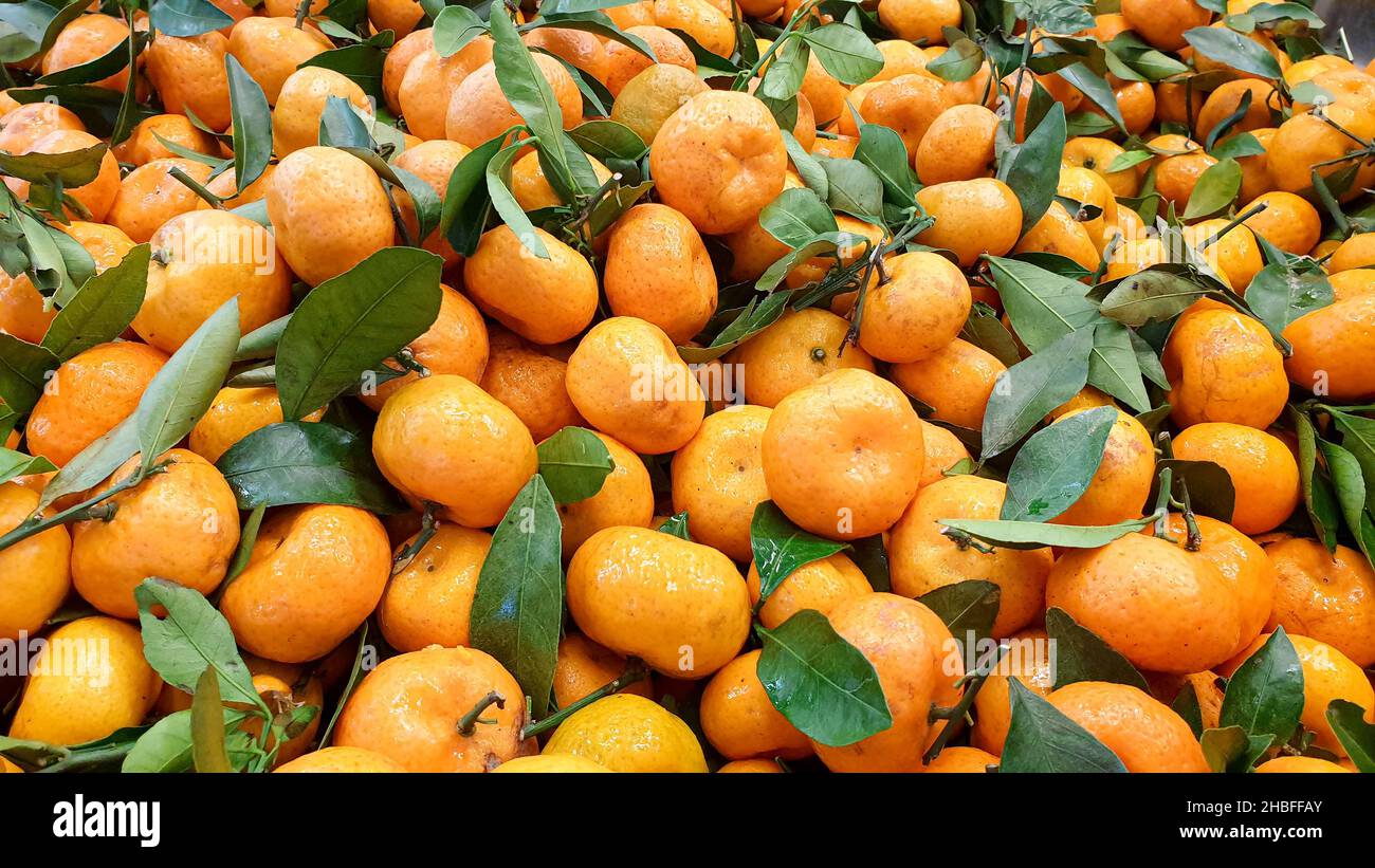 orange or Citrus sp for wallpaper and background. healthy fruit concept ...