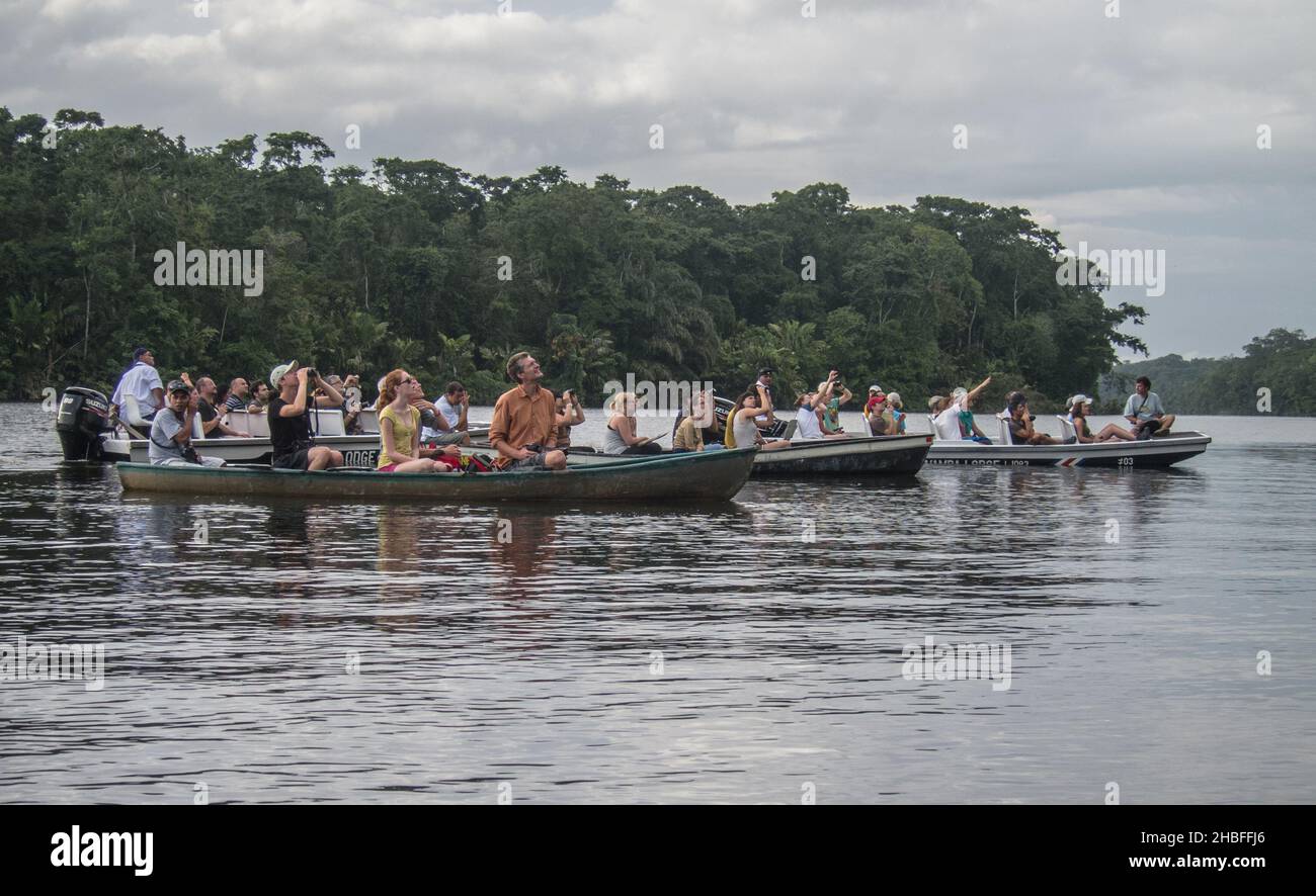 Tourists in boats looking at wildlife at Tortuguero National Park ...