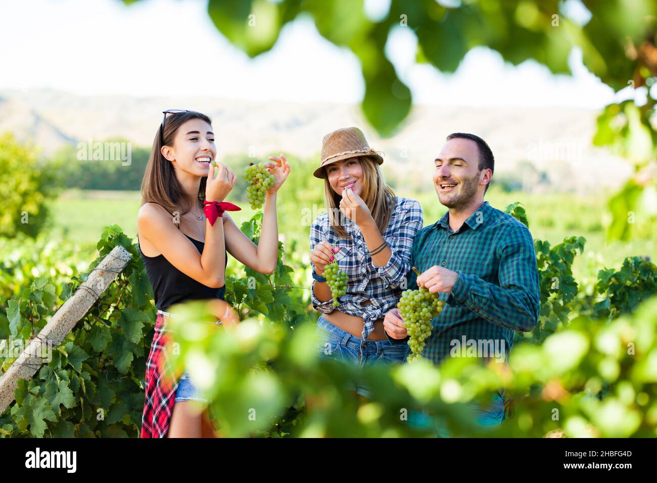 Tree friends tasting grapes. Two girls and a man during harvest season ...