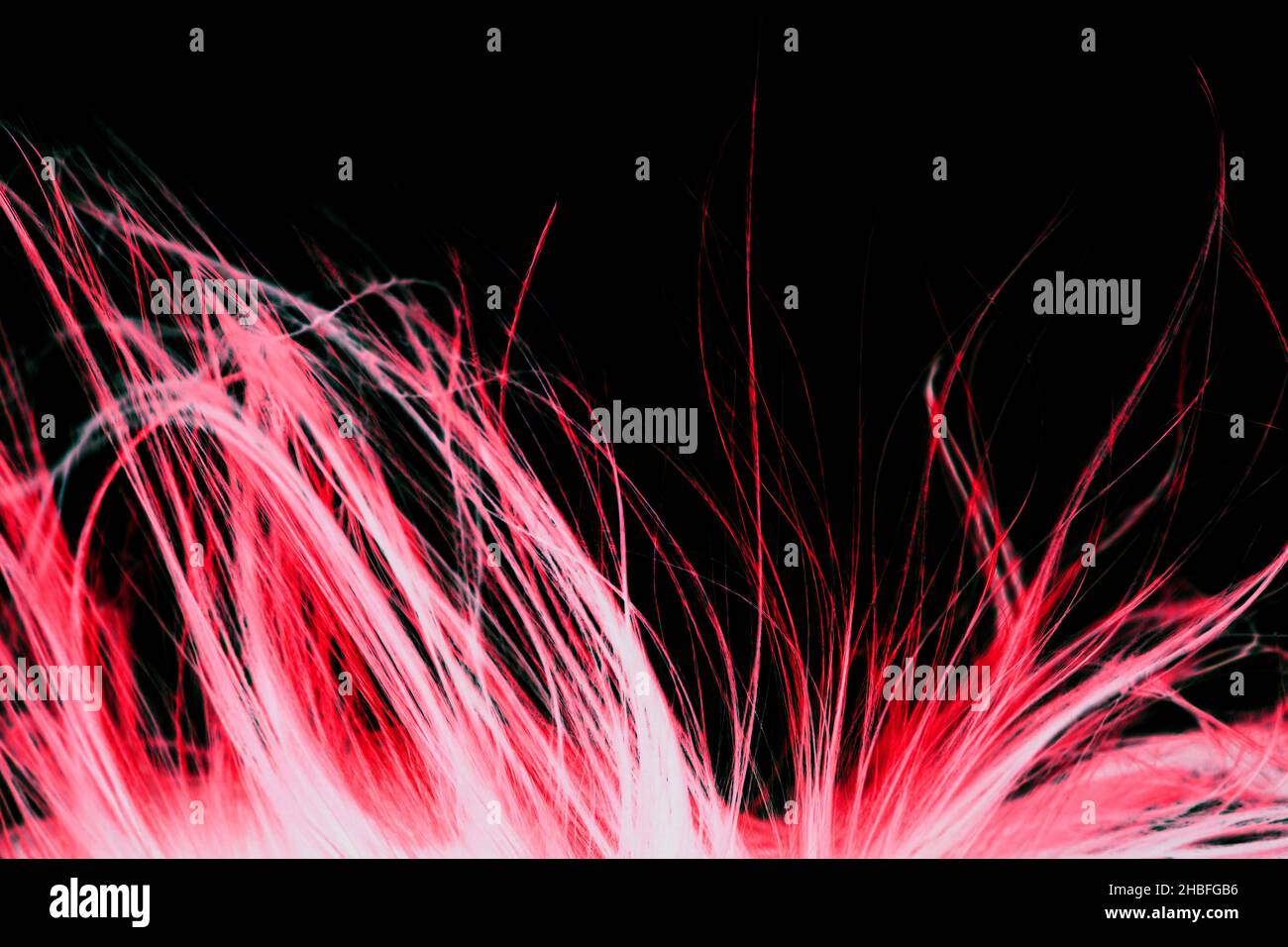 Hair texture hi-res stock photography and images - Alamy