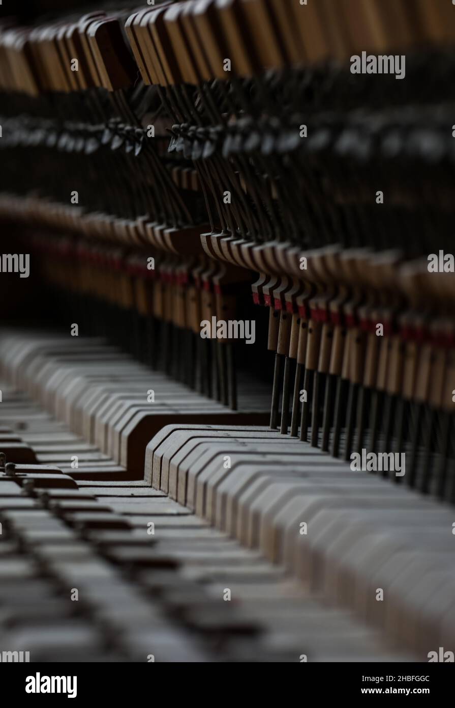 A vertical shot of broken piano keys and hammers Stock Photo - Alamy