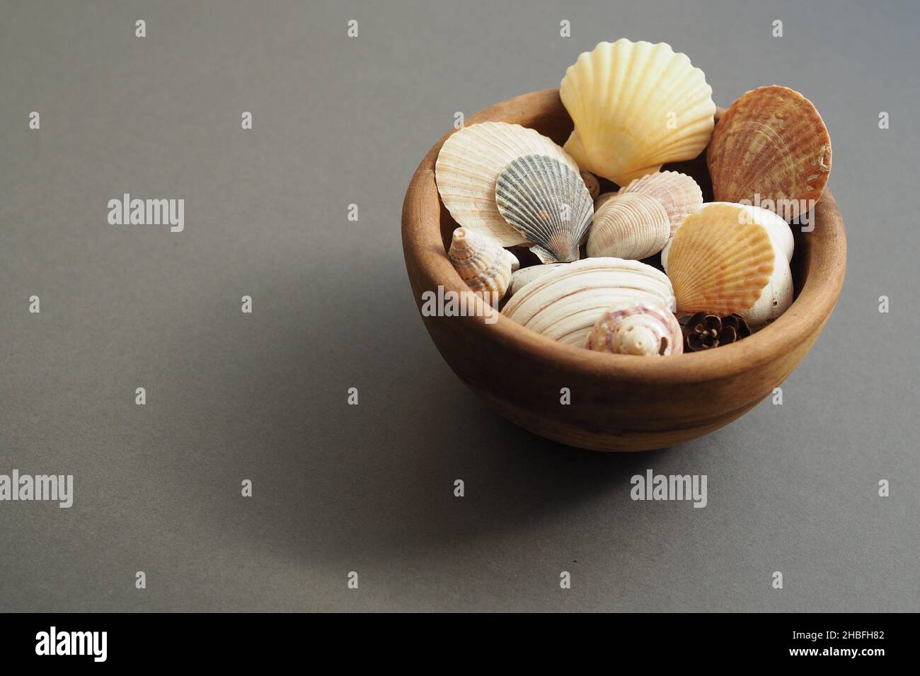 A closeup shot of different types of shells in a brown bowl Stock Photo ...