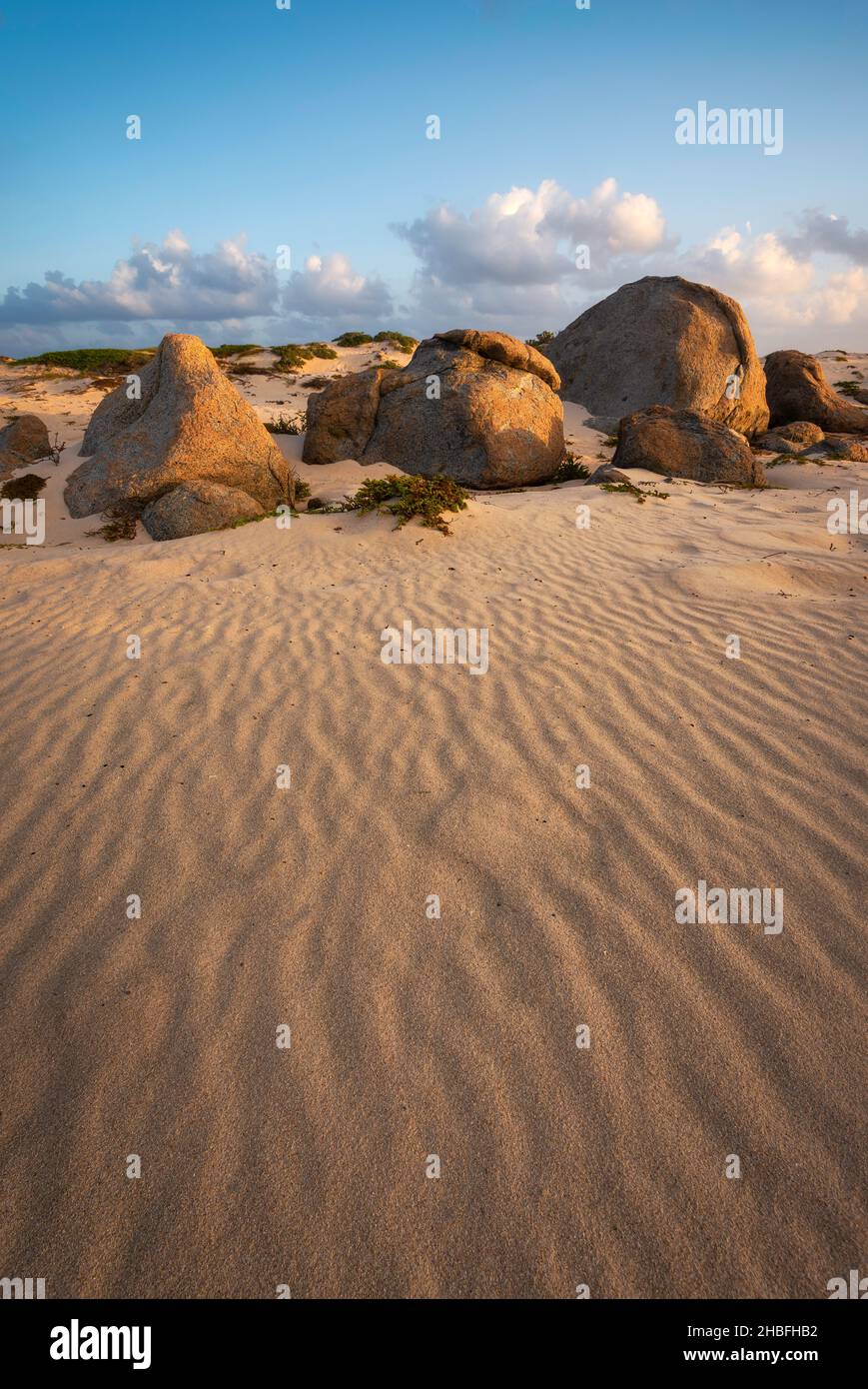 Windblown sand lines in the golden morning light of the Arashi Dunes in ...