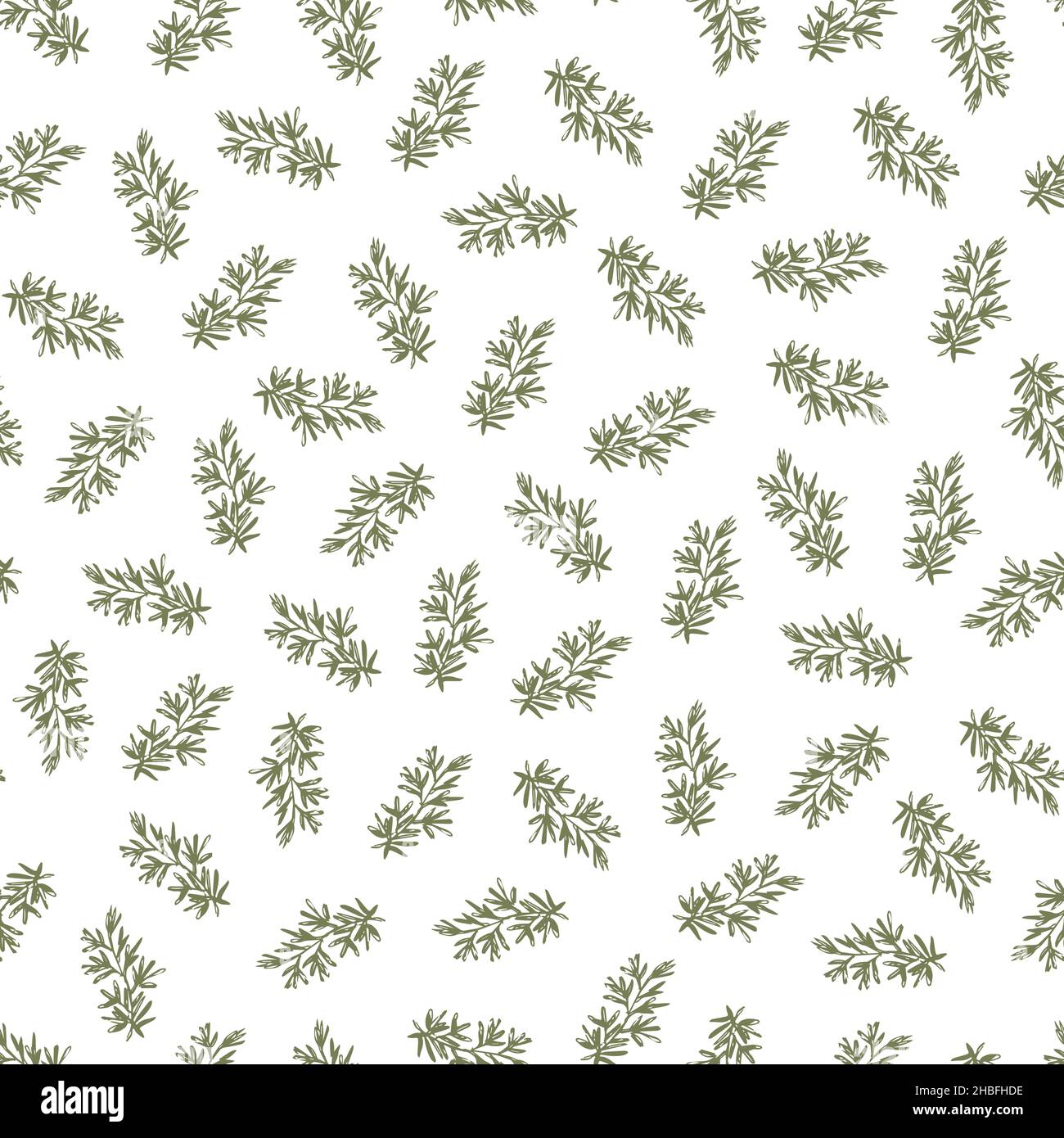 Vector green and white herb rosemary seamless background repeat pattern ...