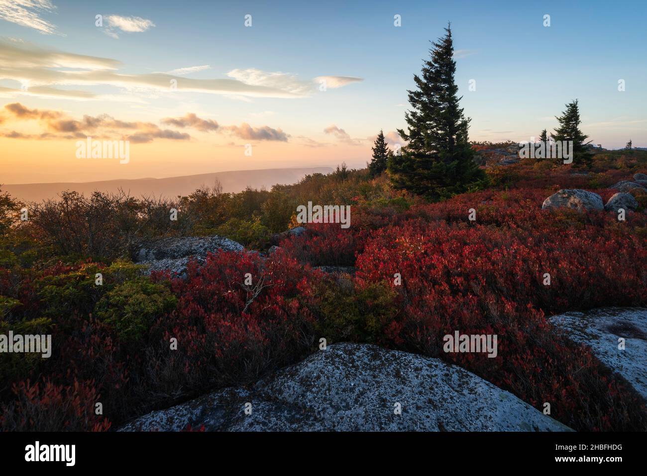 An Autumn sunrise at the Bear Rocks Preserve in the Dolly Sods ...