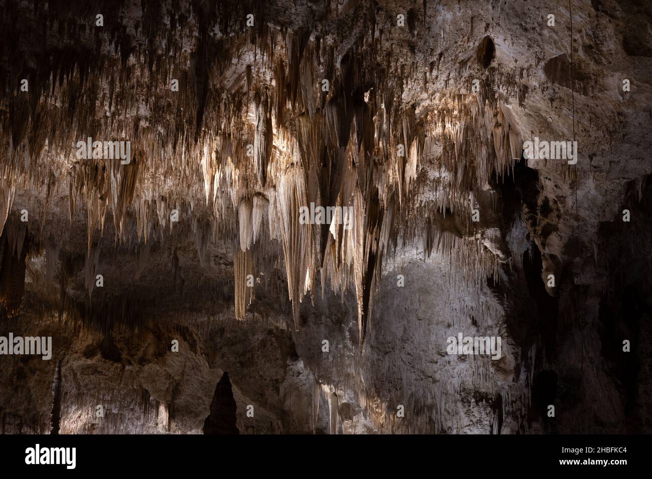 Thousands of Stalactites In The Big Room Stock Photo - Alamy