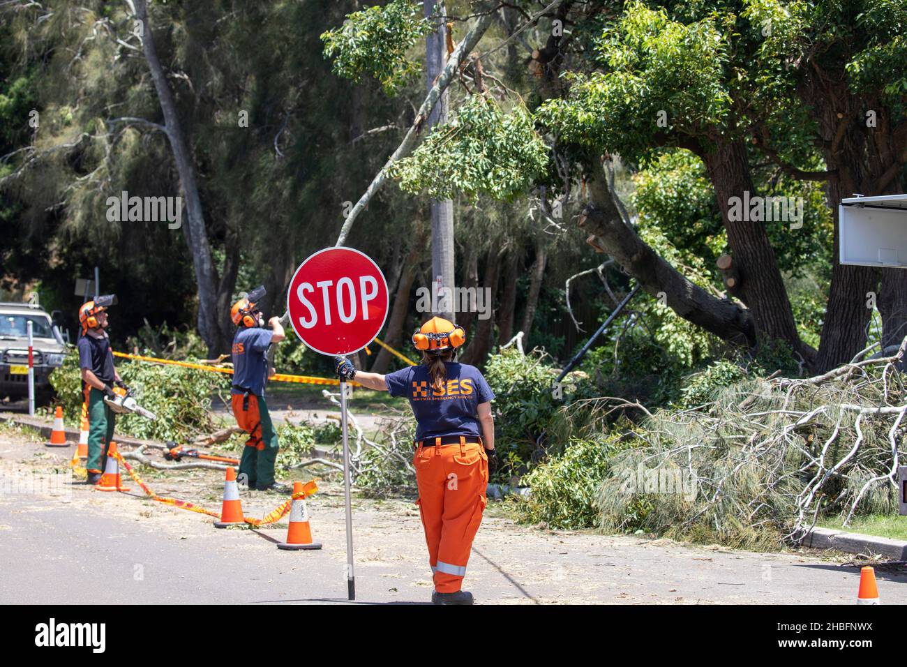 Day after the mini cyclone devastated huge areas of Sydney northern ...