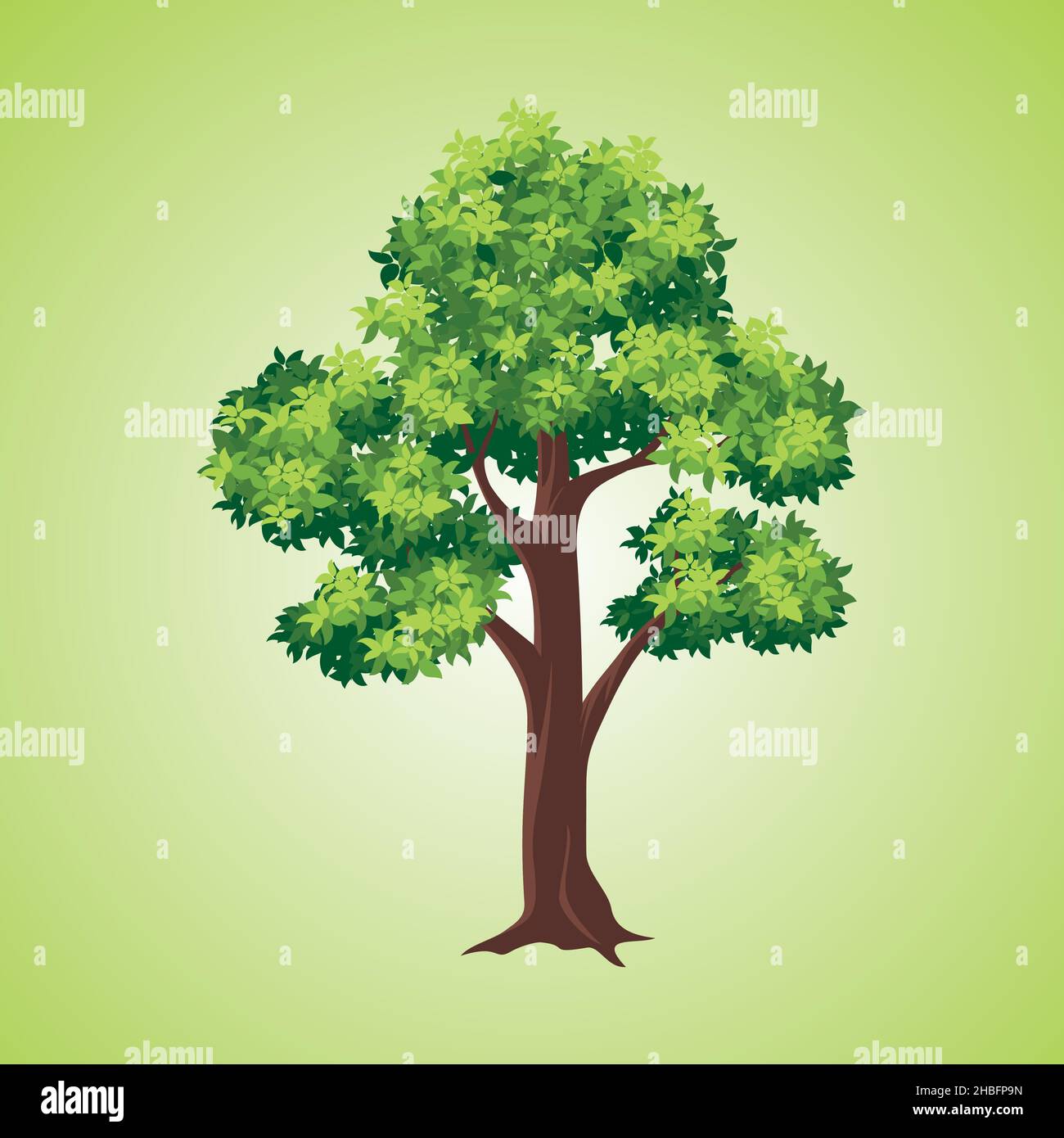 Tree leaves roots vector hi-res stock photography and images - Alamy