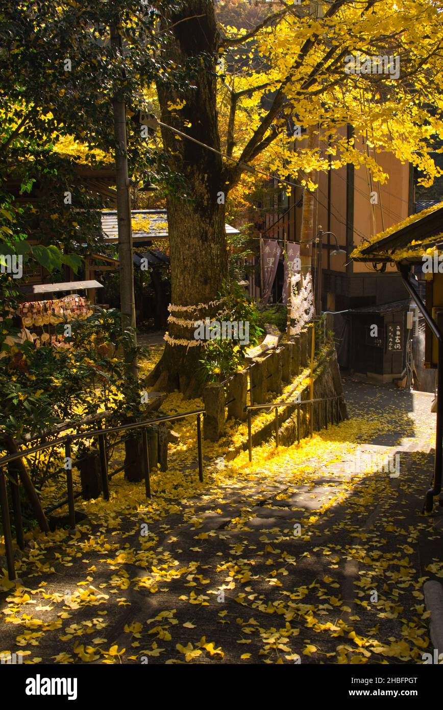 Igozaka in Kurokawa Onsen (Hot Spring), Kumamoto Prefecture, Japan ...