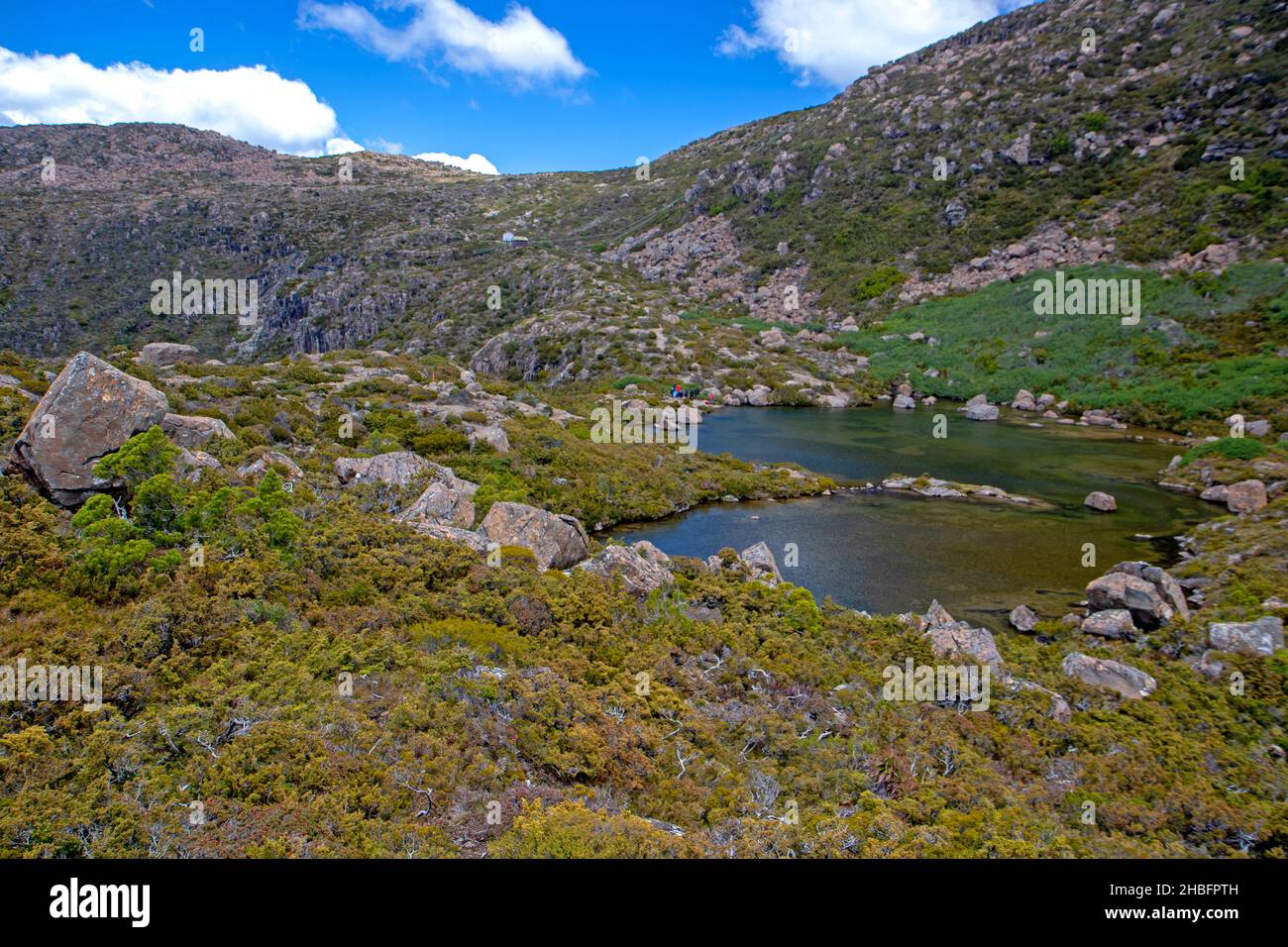Tarn Shelf, Mt Field National Park Stock Photo - Alamy